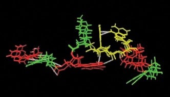 Rensselaer Researchers Create Accurate Computer Model of RNA Tetraloop ...