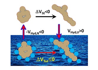 50+ Year-Old Protein Volume Paradox Resolved – Every Day Matters